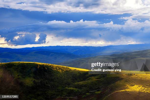 The Upland Rider Photos and Premium High Res Pictures - Getty Images The Upland Rider Photos and Premium High Res Pictures - Getty Images