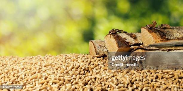 The Environmental Benefits of Using Premium Wood Pellets