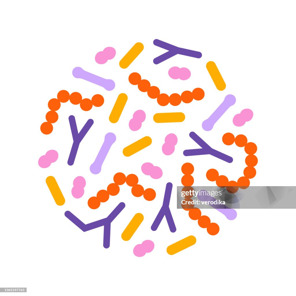Probiotic Bacteria Set In Circle Gut Microbiota With Healthy Prebiotic