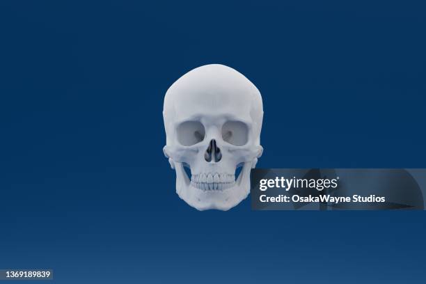 61 831 Skulls Stock Photos High Res Pictures And Images Getty Images 61-831-skulls-stock-photos-high-res-pictures-and-images-getty-images