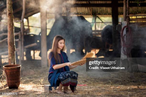 857 Hmong House Stock Photos, High-Res Pictures, and Images - Getty Images 857 Hmong House Stock Photos, High-Res Pictures, and Images - Getty Images