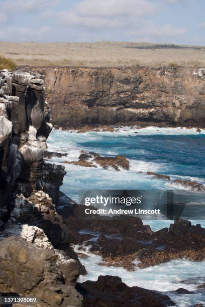 Coast of Punta Suarez, Espanola, Galapagos 이미지 (1371398089) - 게티이미지뱅크