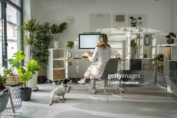 Home Office Rear View Photos and Premium High Res Pictures - Getty Images Home Office Rear View Photos and Premium High Res Pictures - Getty Images