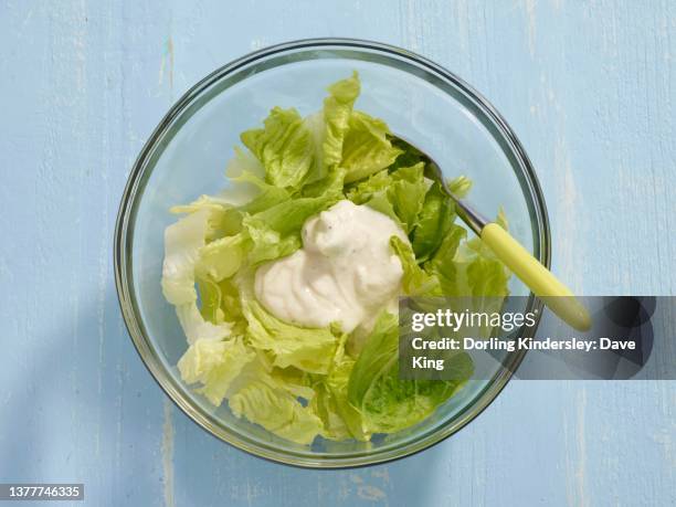 Mixing Bowl Top View Isolated Photos And Premium High Res Pictures