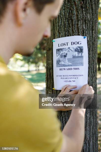 Man Putting Up Poster Photos and Premium High Res Pictures - Getty Images Man Putting Up Poster Photos and Premium High Res Pictures - Getty Images