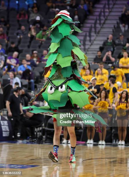 Stanford Mascot Tree Photos et images de collection - Getty Images Stanford Mascot Tree Photos et images de collection - Getty Images
