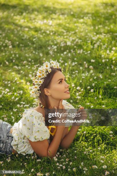 Camomile Field Top View Photos And Premium High Res Pictures Getty Images