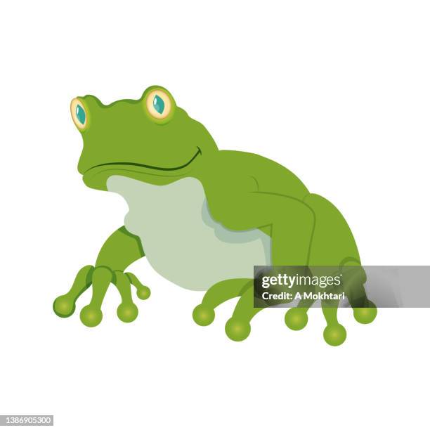 141 Frog Jumping High Res Illustrations - Getty Images 141 Frog Jumping High Res Illustrations - Getty Images