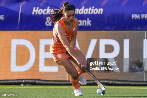 331 Stella Van Gils Photos And High Res Pictures Getty Images