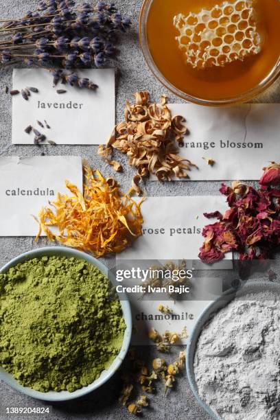 A DIY Guide to Creating Natural Dyes with Plant Extracts