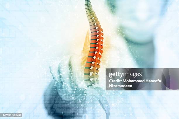 The Benefits of Regular Spinal Adjustments: A Comprehensive Guide to ...