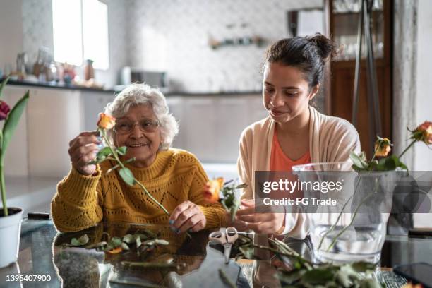 Old Lady Arrange Flowers Photos And Premium High Res Pictures Getty