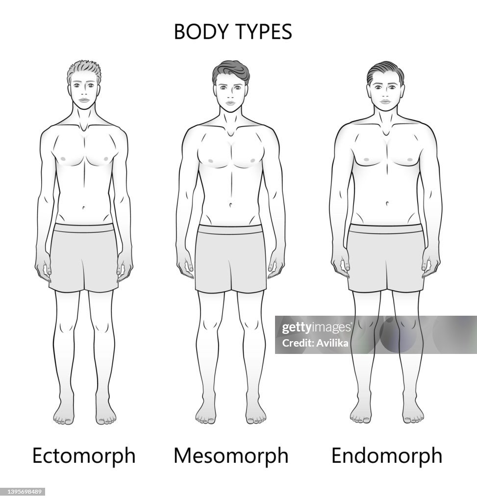 Human Body Types Three Figures Black And White Forms Ectomorph