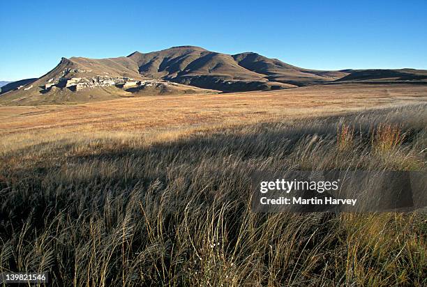 Highveld Grasslands Photos And Premium High Res Pictures Getty Images