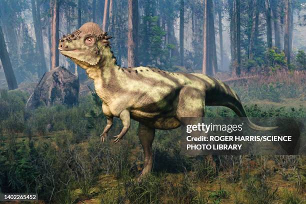 328 Omnivore High Res Illustrations - Getty Images 328 Omnivore High Res Illustrations - Getty Images