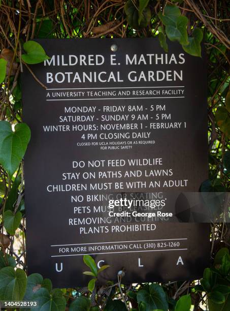 Mildred E Mathias Botanical Garden Photos and Premium High Res Pictures ... Mildred E Mathias Botanical Garden Photos and Premium High Res Pictures ...