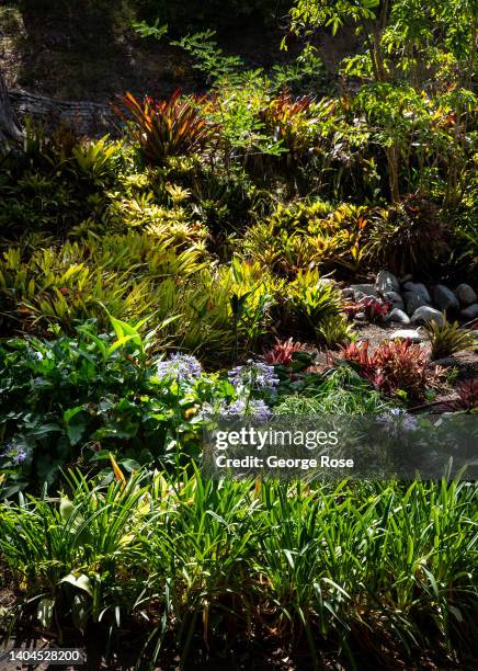 Mildred E Mathias Botanical Garden Photos and Premium High Res Pictures ... Mildred E Mathias Botanical Garden Photos and Premium High Res Pictures ...