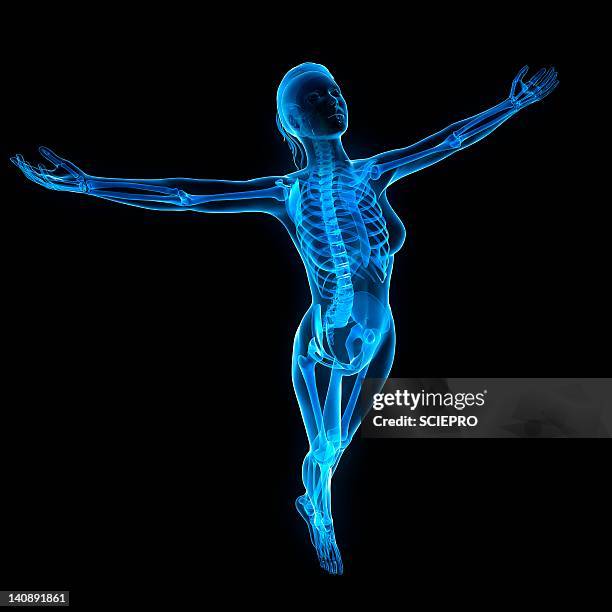 21649 Human Body Outline Side View High Res Illustrations Getty Images