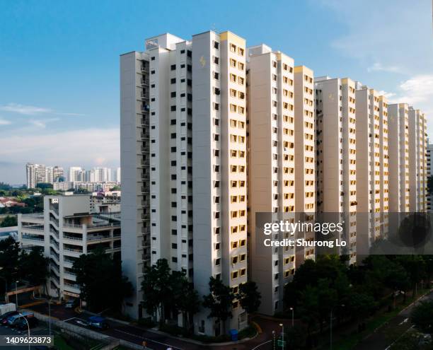 How to Protect Your Home from Mould During Singapore's Rainy Season