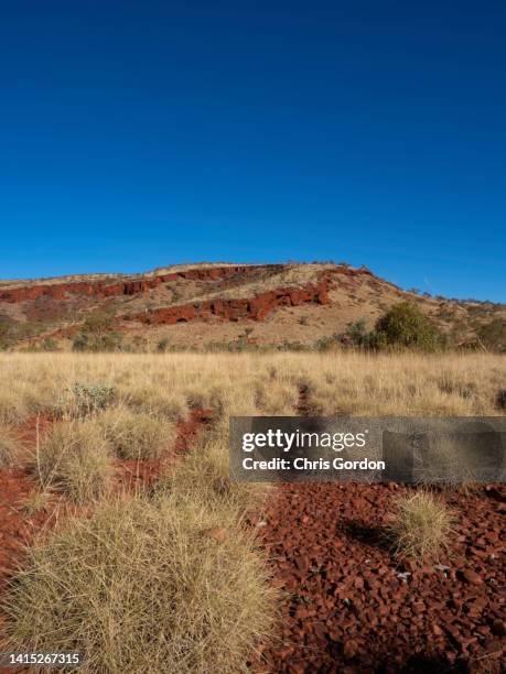 The Pilbara red rocks and spinifex 이미지 (1415267315) - 게티이미지뱅크
