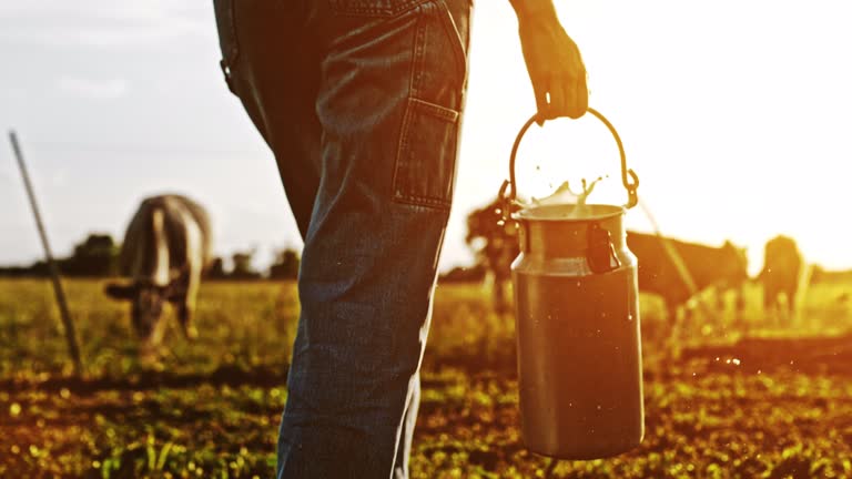 682 Woman Being Milked Stock Videos Footage And 4k Video Clips Getty