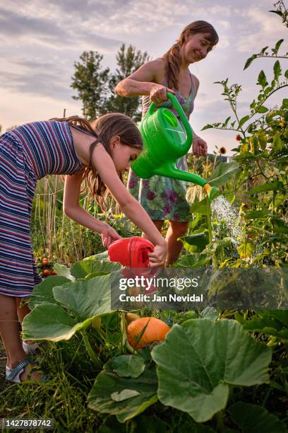 Adding Context Photos and Premium High Res Pictures - Getty Images Adding Context Photos and Premium High Res Pictures - Getty Images