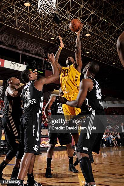 Brad Hassell Photos And Premium High Res Pictures Getty Images