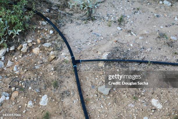 Close Up Squirt Photos Et Images De Collection Getty Images