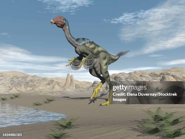 Illustrations, cliparts, dessins animés et icônes de Omnivore Dinosaur ... Illustrations, cliparts, dessins animés et icônes de Omnivore Dinosaur ...
