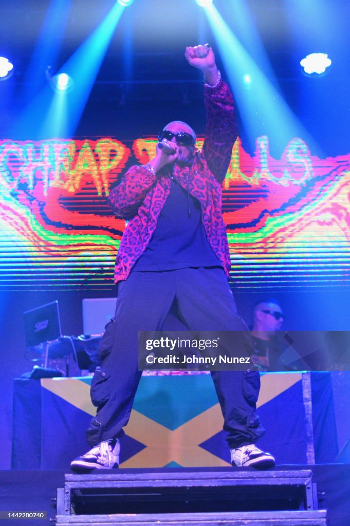 Sean Paul performs during his 20th Anniversary Concert at Webster ... Sean Paul performs during his 20th Anniversary Concert at Webster ...