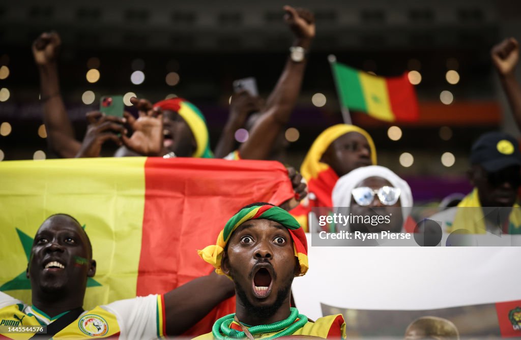 Senegal fans cheer during the FIFA World Cup Qatar 2022 Group A match ... Senegal fans cheer during the FIFA World Cup Qatar 2022 Group A match ...