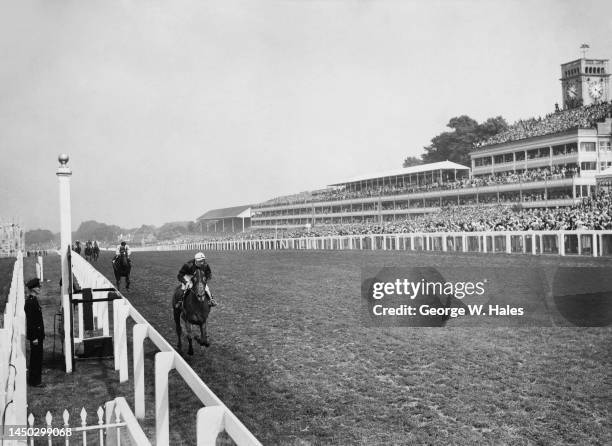 25 Doug Smith (Jockey) Stock Photos, High-Res Pictures, and Images ... 25 Doug Smith (Jockey) Stock Photos, High-Res Pictures, and Images ...