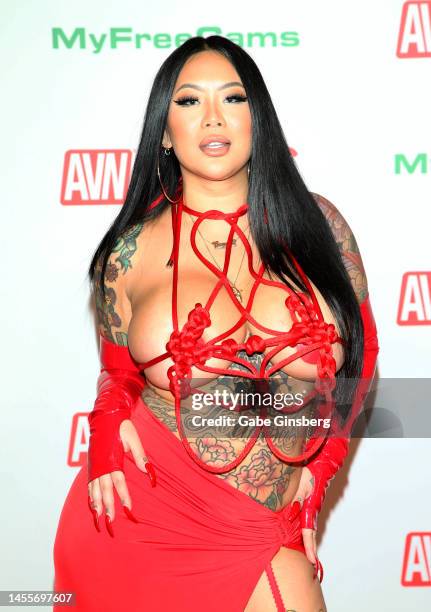Avn Awards 2023 Stock Fotos Und Bilder Getty Images
