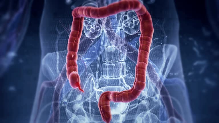 Appendix 동영상 (1456218716) - 게티이미지뱅크 Appendix 동영상 (1456218716) - 게티이미지뱅크