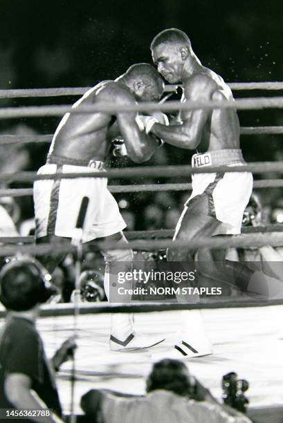 43 Dwight Muhammad Qawi Photos Stock Photos, High-Res Pictures, and ... 43 Dwight Muhammad Qawi Photos Stock Photos, High-Res Pictures, and ...