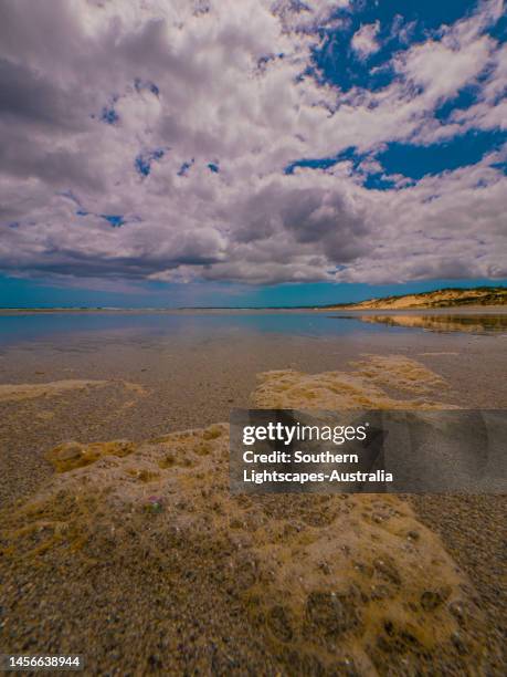 Bass Strait Islands Photos And Premium High Res Pictures Getty Images