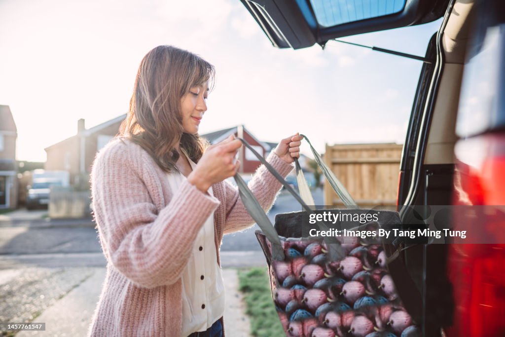 Young Asian Woman Unloading A Bag Of Groceries From Car Trunk Photo ... Young Asian Woman Unloading A Bag Of Groceries From Car Trunk Photo ...