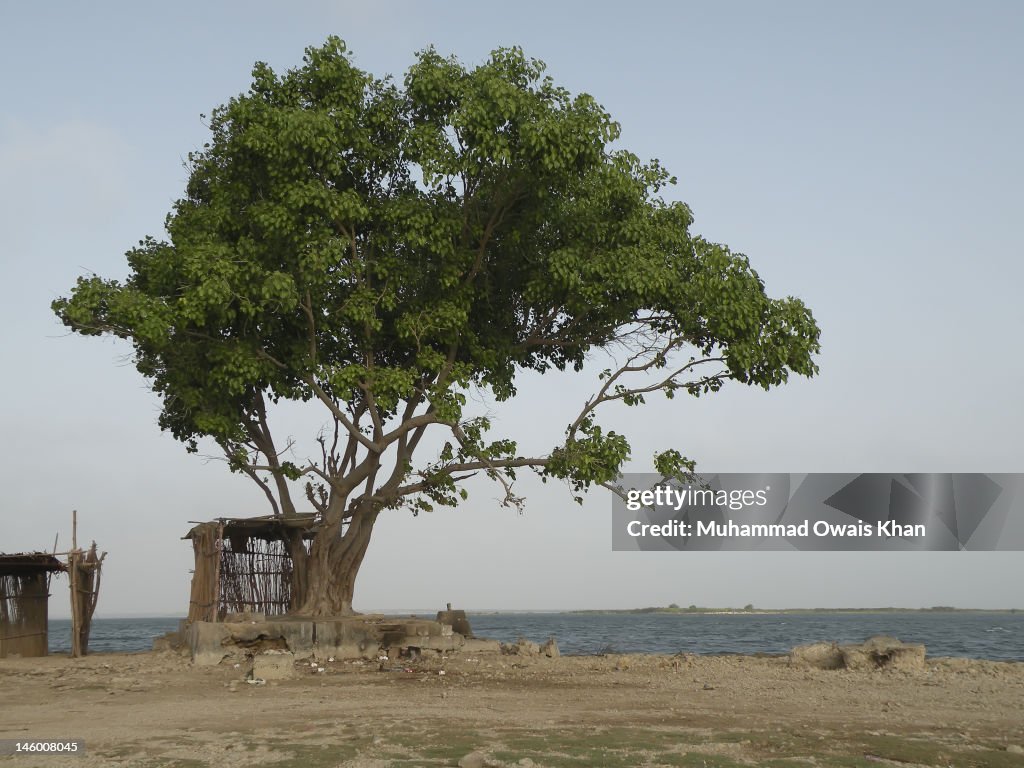 Karli Jheel High-Res Stock Photo - Getty Images Karli Jheel High-Res Stock Photo - Getty Images