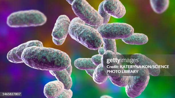 262 Proteobacteria Stock Photos, High-Res Pictures, and Images - Getty ... 262 Proteobacteria Stock Photos, High-Res Pictures, and Images - Getty ...