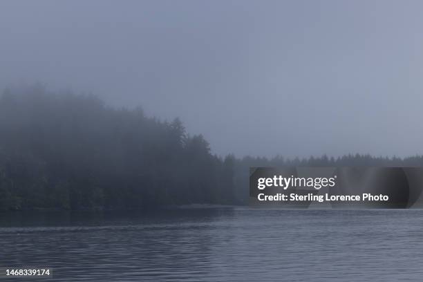 Mist Enshrouded Photos And Premium High Res Pictures Getty Images