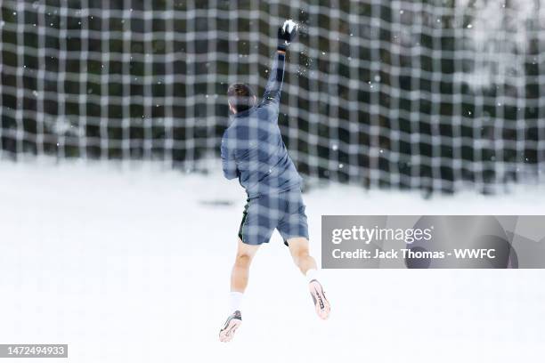 Snowball Photos And Premium High Res Pictures Getty Images