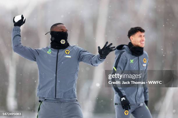 Snowball Photos And Premium High Res Pictures Getty Images
