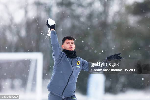 Snowball Photos And Premium High Res Pictures Getty Images