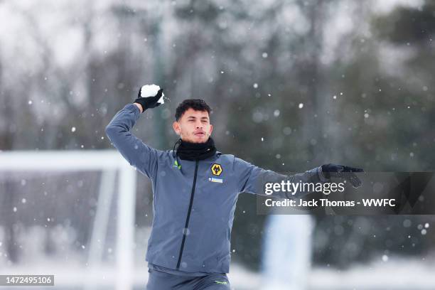 Snowball Photos And Premium High Res Pictures Getty Images