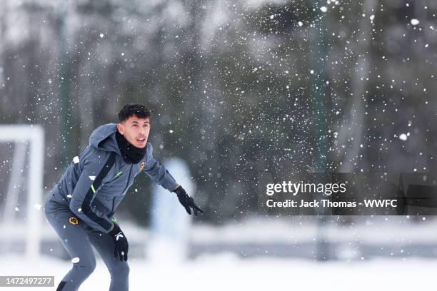 Snowball Photos And Premium High Res Pictures Getty Images