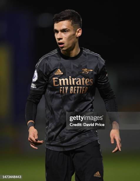 275 Catalin Cirjan Arsenal Stock Photos, High-Res Pictures, and Images ... 275 Catalin Cirjan Arsenal Stock Photos, High-Res Pictures, and Images ...