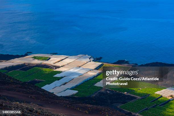 La Paloma Room Photos And Premium High Res Pictures Getty Images