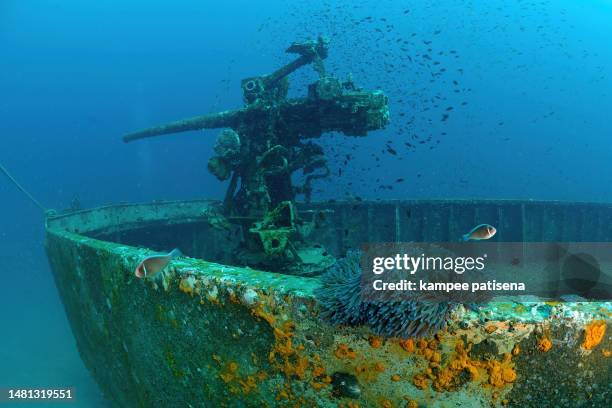 300 Crash Boats Of World War 2 Stock Photos, High-Res Pictures, and ... 300 Crash Boats Of World War 2 Stock Photos, High-Res Pictures, and ...