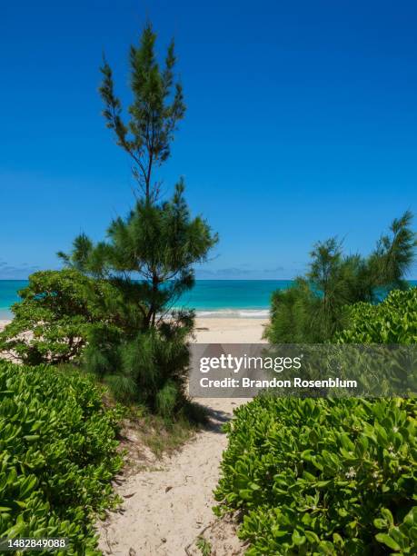 Waimanalo Beach Photos And Premium High Res Pictures Getty Images