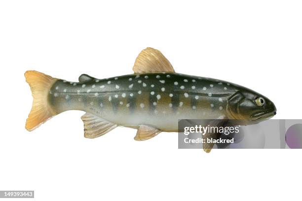 Small Edible Fish Photos and Premium High Res Pictures - Getty Images Small Edible Fish Photos and Premium High Res Pictures - Getty Images